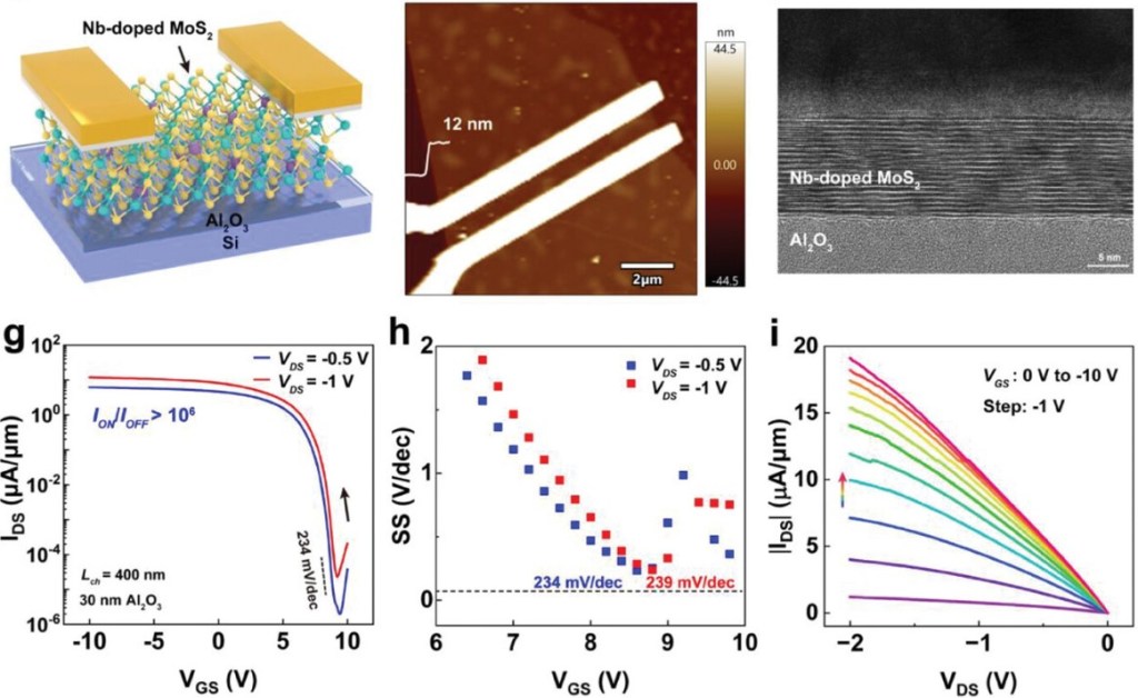 Publications – Thin-Film Electronics Lab @ Westlake University